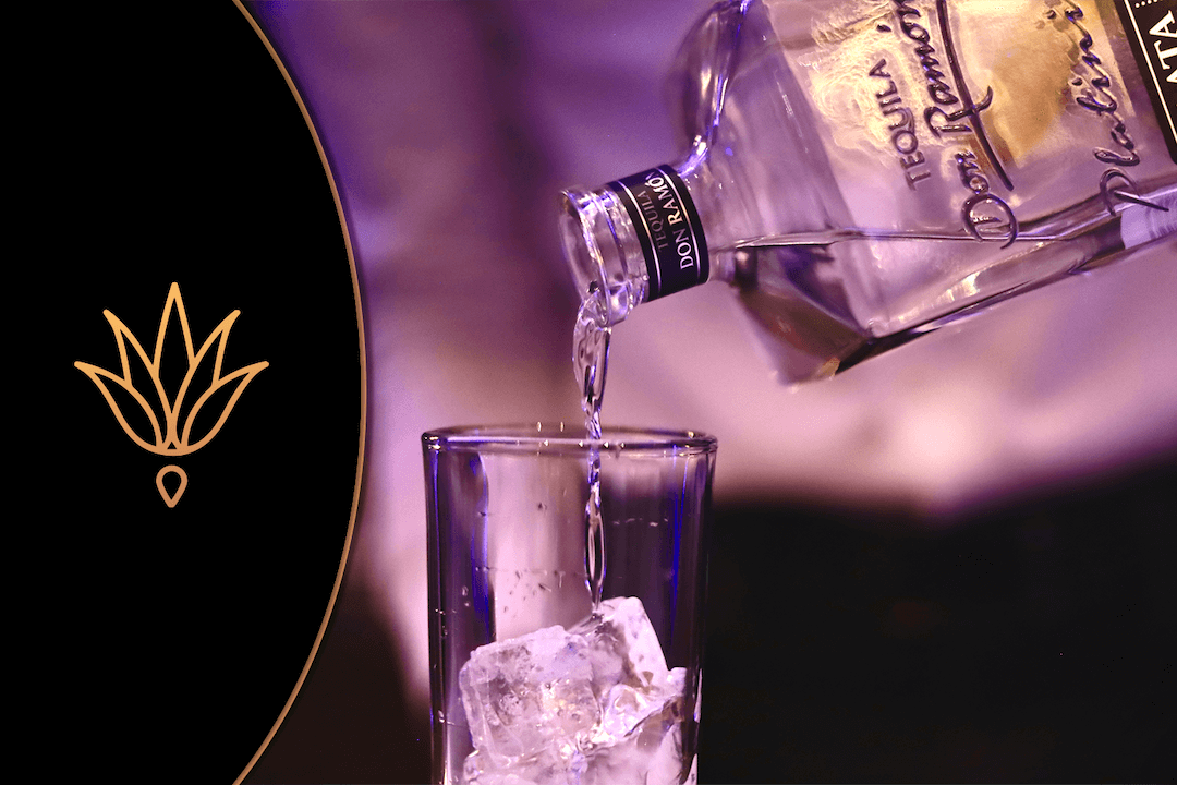 Historia del tequila: su origen y cultura